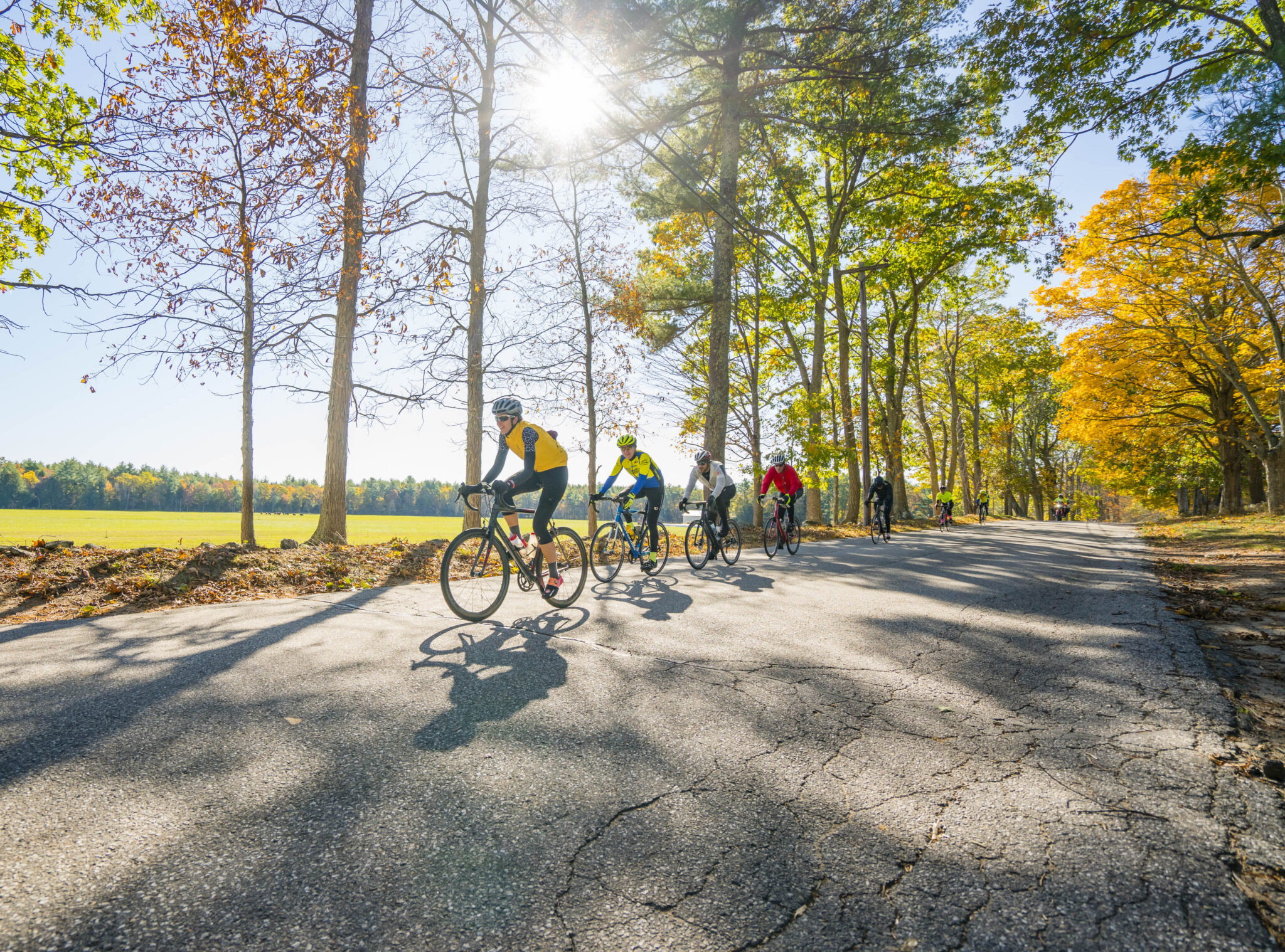 King Challenge 2024 - UnTapped